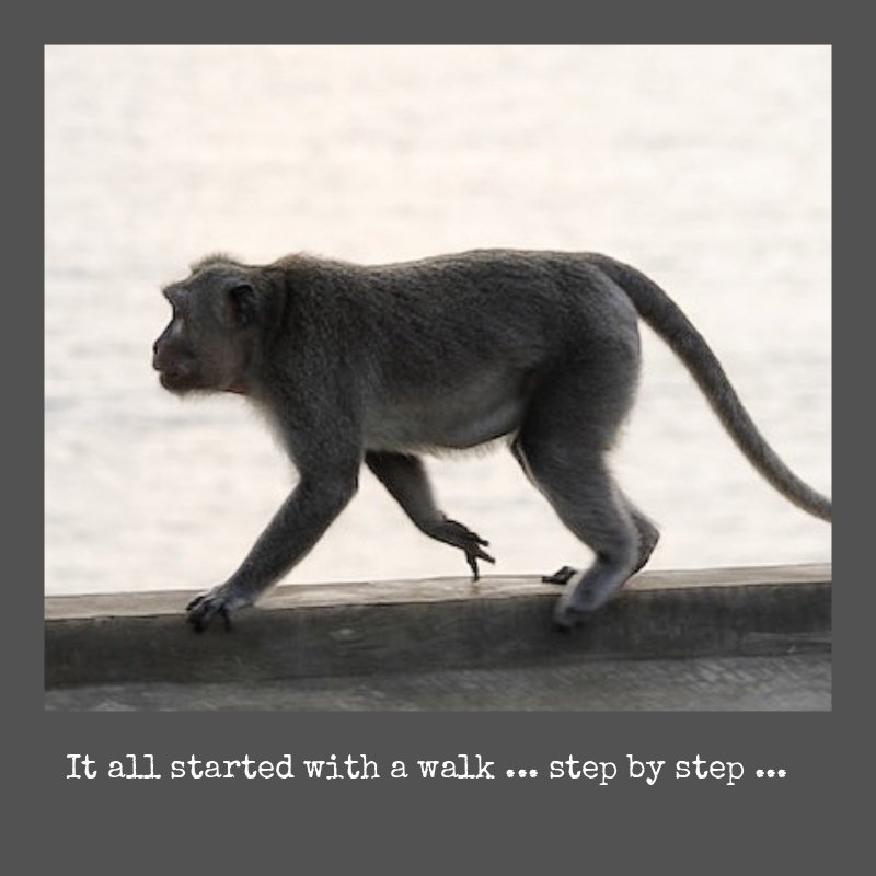 Monkey Thief Playing Harmonica in Uluwatu Temple