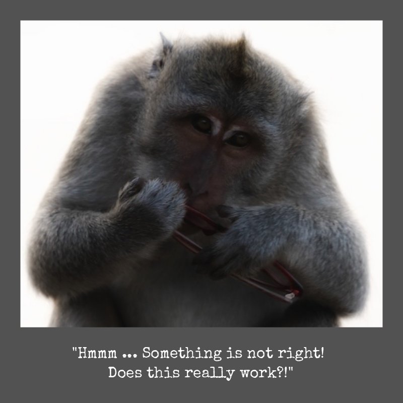 Monkey Thief Playing Harmonica in Uluwatu Temple