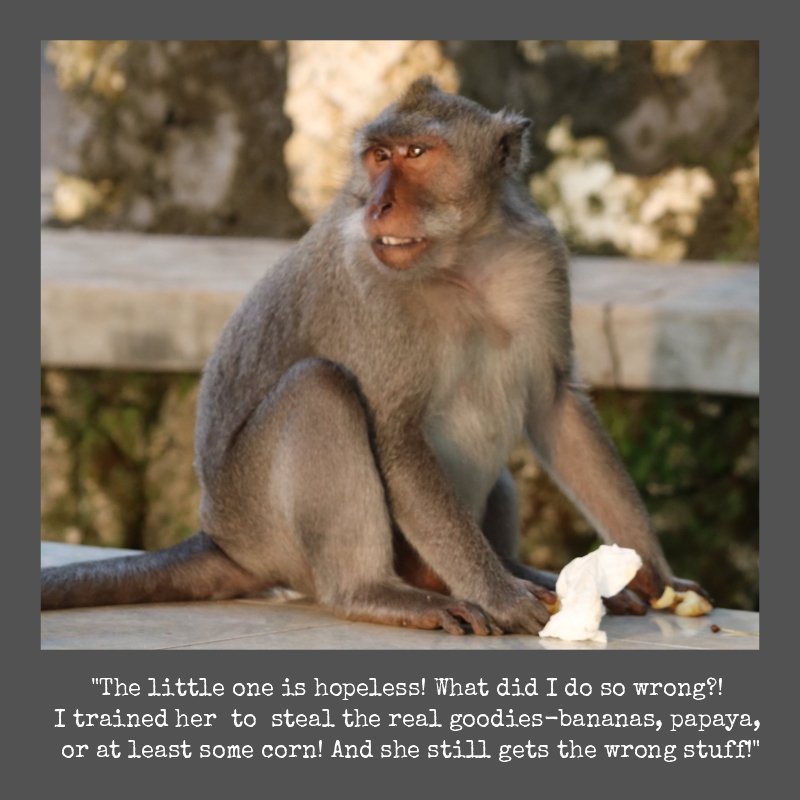 Monkey Thief Playing Harmonica in Uluwatu Temple