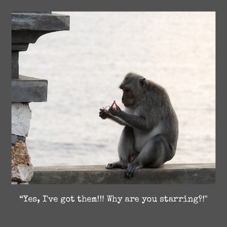Monkey Thief Playing Harmonica in Uluwatu Temple