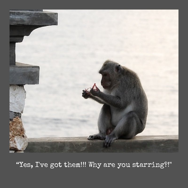 Monkey Thief Playing Harmonica in Uluwatu Temple