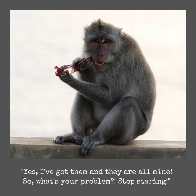 Monkey Thief Playing Harmonica in Uluwatu Temple