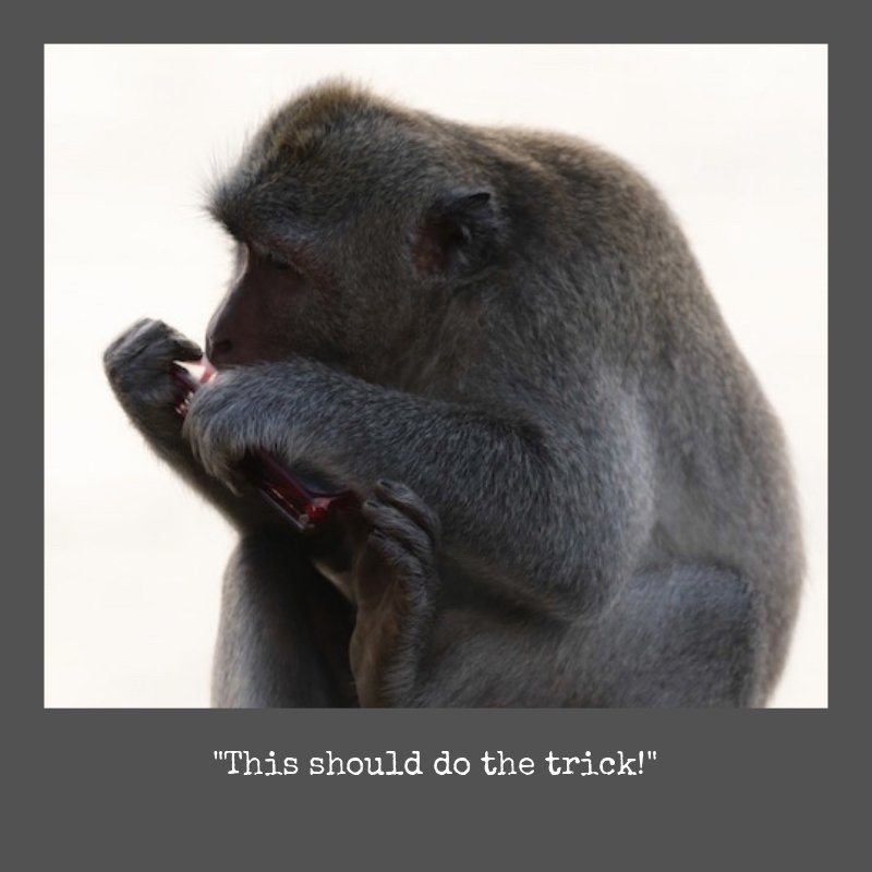 Monkey Thief Playing Harmonica in Uluwatu Temple