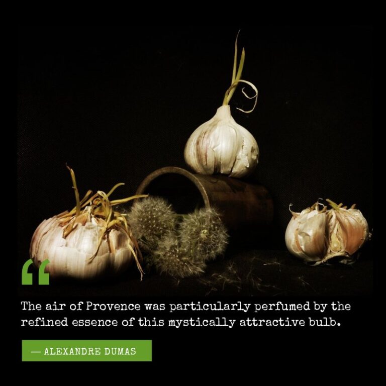 Garlic protection - for women, children, soul and much more