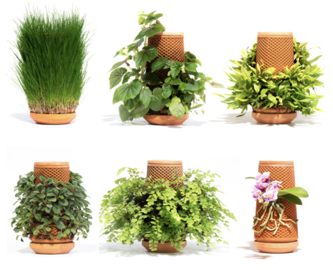 Home Planting - 7 Innovative Indoor Gardening Solutions